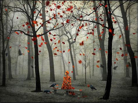 The Naked Forest Art Print By Jonas Adner