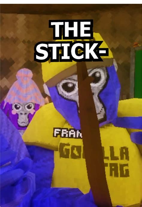 This Is How People React To The Stick Gorillatag Gtag Vr Shorts