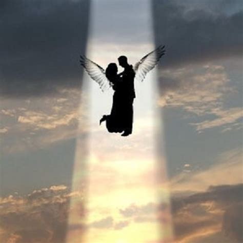 Stream Rise In Love By Dan Fefferman Listen Online For Free On Soundcloud