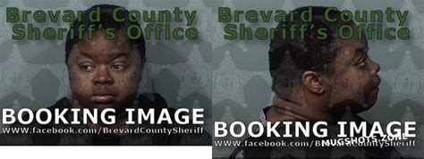 Steadman Sheteria Denise 03042024 Brevard County Mugshots Zone