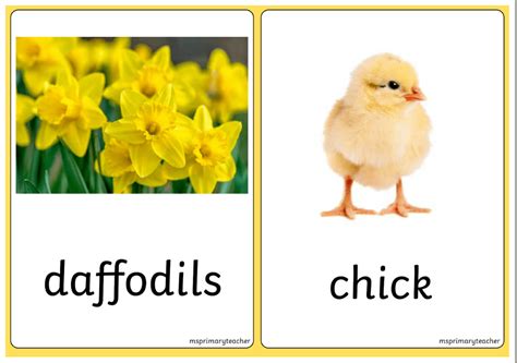 Mash Infants Spring Pack