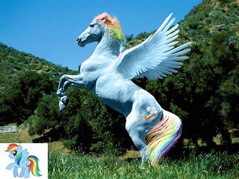 Real Life Rainbow Dash