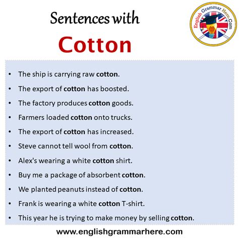 Sentences With Consist Consist In A Sentence In English Sentences For