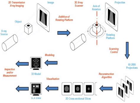 Overview Of Ct Scan And Measurement Process 3 Download Scientific
