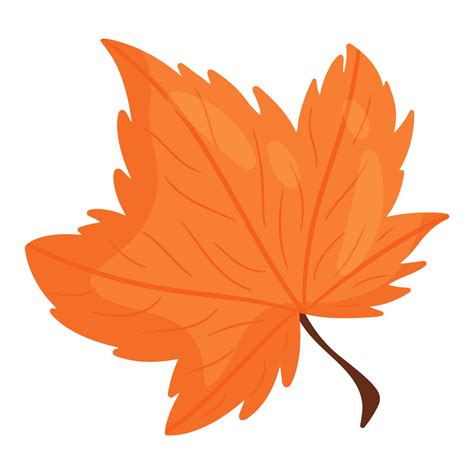 Maple Leaf Autumn Design Element Vector Illustration Cartoon Style