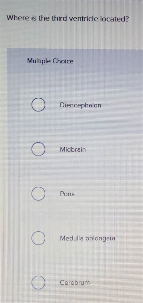 Where Is The Third Ventricle Located Multiple Choice Diencephalon Midbrain Pons Medulla
