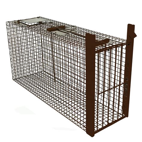 Bobcat Live Cage Trap Bobcat Pro Ztraps