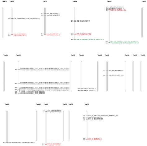 chromosomal locations of the tandemly arrayed t aestivum prx genes