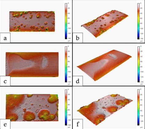 5 Topographical Analysis By Optical Profilometry Of Specimens After