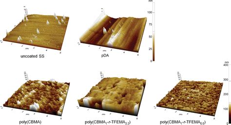 Polydopamine‐mediated Amphiphilic Polycarboxybetaine Methacrylamide‐r