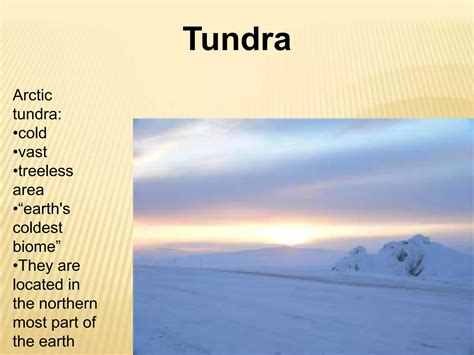 3rd Grade Ecosystem Pptx