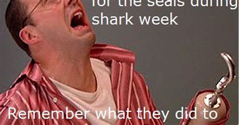 To Everyone That Sympathizes With The Seals During Shark Week Imgur