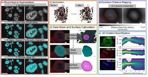The Workflow For The Quantification Of Elemental Gradients In Download Scientific Diagram