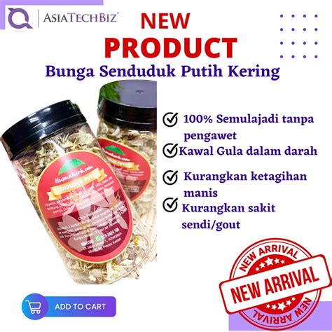 Bunga Senduduk Putih Kering Shopee Malaysia