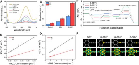 Piezoelectric Enhanced Peroxidase Like Performance Of S Gdy And