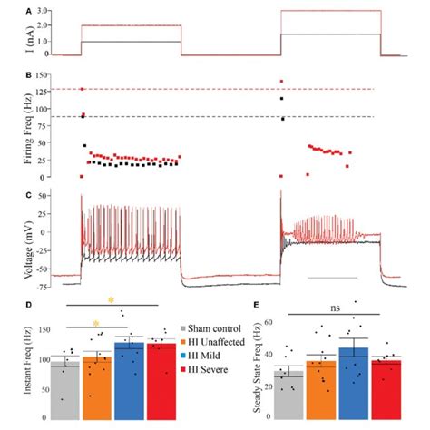 Persistent Inward Current Characteristics 16 S Ramp Download Scientific Diagram