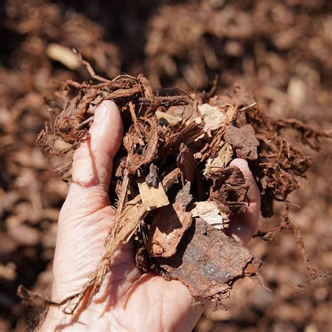 Pine Bark 20 25mm Cube 9900 — Ace Landscapes Supplies