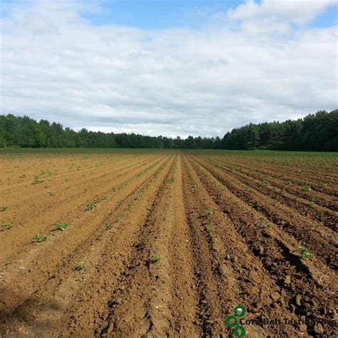 Corn Belt Testing On Linkedin Grain Grading Equipment Corn Belt Testing