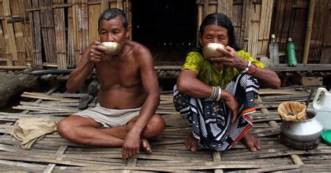The Toto Tribe