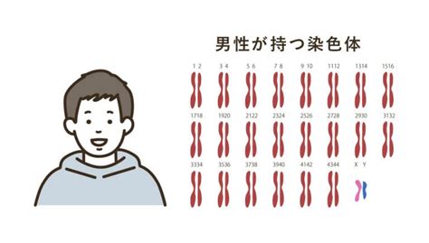 【ちんこの大きさは遺伝する】親が粗チンなら子も粗チン｜あんしん通販コラム