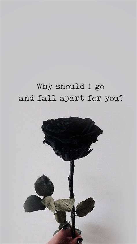 Latest Wallpapers Of Roses With Quotes
