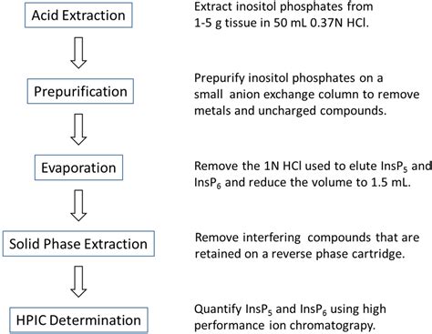 Plants Special Issue Phytic Acid Pathway And Breeding In Plants