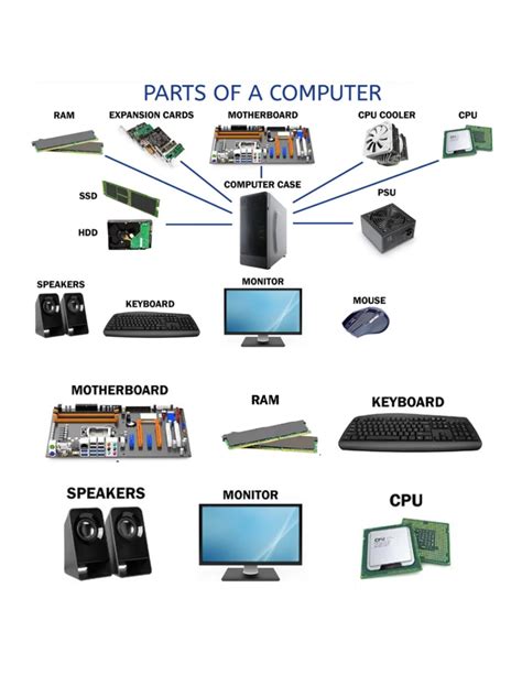 Parts Of The Computer Teacher Lecture 1 The Computer Case Or