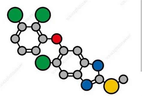 Triclabendazole Powder At ₹ 77piece Triclabendazole Tablet In