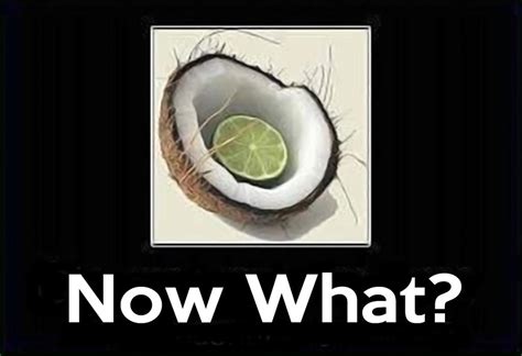 Lime Coconut By Richard67915 On Deviantart