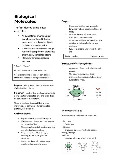General Biology Biological Molecules The Four Classes Of Biological