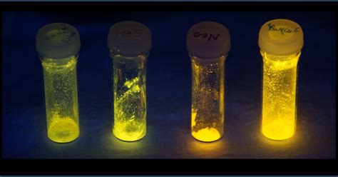 Homepagepng Okinawa Institute Of Science And Technology Oist