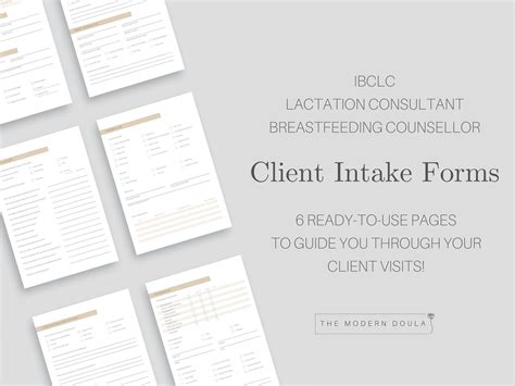Editable Lactation Consultant Intake Form Breastfeeding Etsy