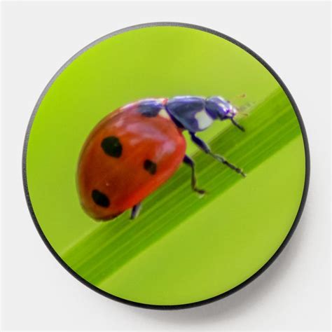 Cute Little Ladybug Green Leaf Black Dots Luck Popsocket Zazzle