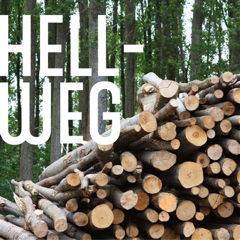 Prof Stefanie Hellweg Energy Week Eth