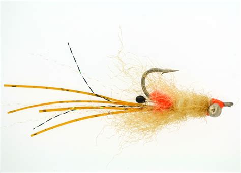 Spawning Shrimp