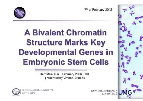 Bivalent Chromatin Presentationpptx