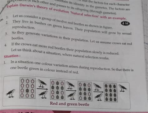Explain Darwins Theory Of Natural Selection With An Example