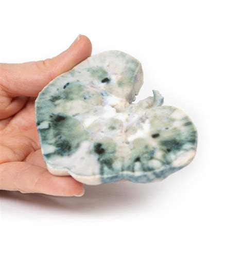 Septic Renal Infarct Australian Physiotherapy Equipment