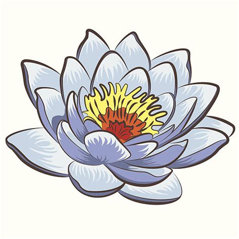 100 Lotus Flower Photos Stock Illustrations Royalty Free Vector