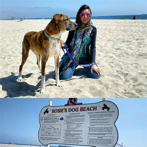 43岁嘉碧仪近照流出似少女！淡出18年返美定居 疑似另一半曝光 星岛日报