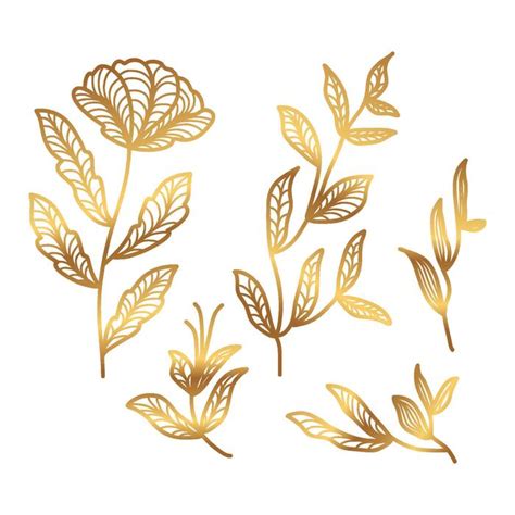 Gold Flora Vector Art Icons And Graphics For Free Download