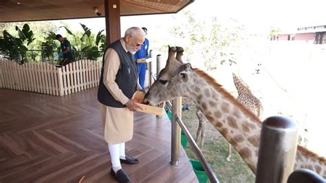 Truly Commendable Exploring Vantara With Prime Minister Modi India News News18