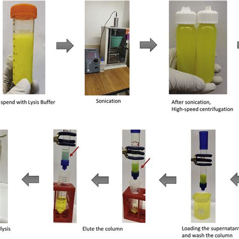 The Pre Settings For The Mst Assay A Plan Setting Up The Download Scientific Diagram