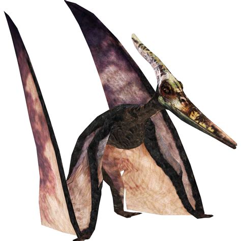 Pteranodon Sornaensis Alvin Abreu Zt2 Download Library Wiki Fandom