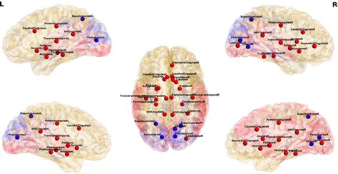 Visualization Of Important Regions That Have Highest Differential Download Scientific Diagram