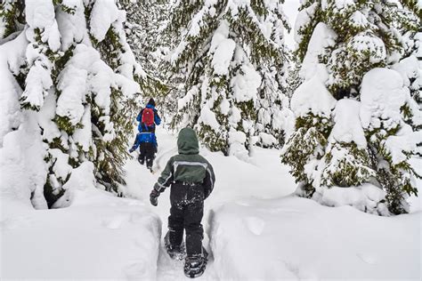 Where To Go In Pennsylvania In Winter At Dorathy Quinones Blog