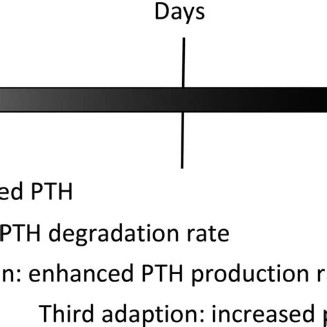 Schematic Timeline For Pth Secretory Rate Summarizing Results Presented