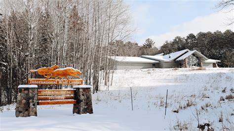 9 Ultimate Winter Activities In Ely Minnesota Raarup Adventures