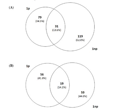 A Venn Diagram Of The Size Of The Escherichia Coli Terminal Download Scientific Diagram