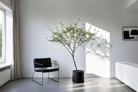 Premium Photo Interior Design With A Single Blooming Tree